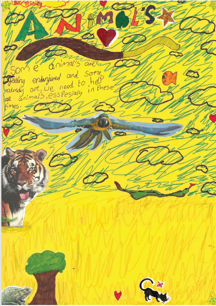 Creative activism during a pandemic: Creating zines focused on changing ...
