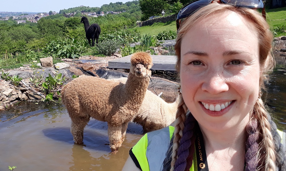 Emily Gagnon - Boingboing